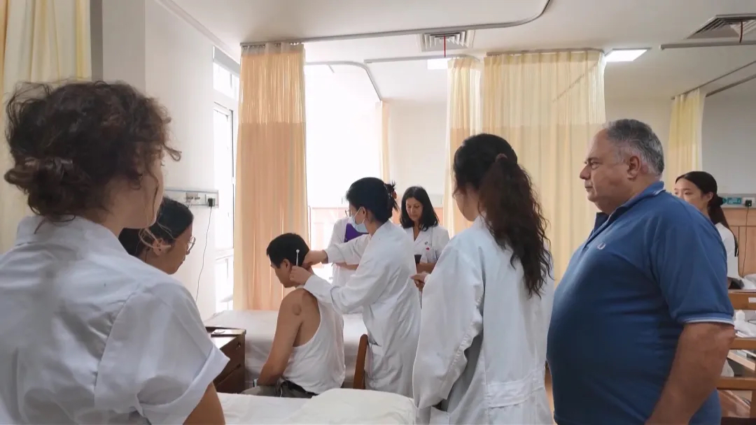 French TCM practitioners gain hands-on experience in Putuo
