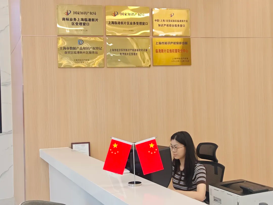 Lin-gang registers China's first cross-border data IP_IPR Protection