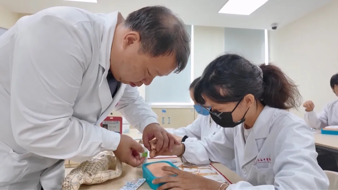 French TCM practitioners gain hands-on experience in Putuo